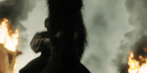 Horse Rearing GIFs - Get the best GIF on GIPHY