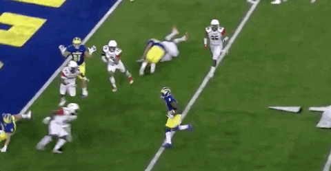 Fightin Blue Hens GIFs - Get the best GIF on GIPHY