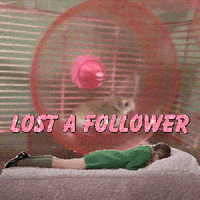 Hamster Wheel Fail Gif