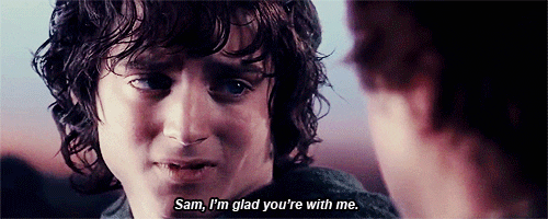 Frodo Smile Gif
