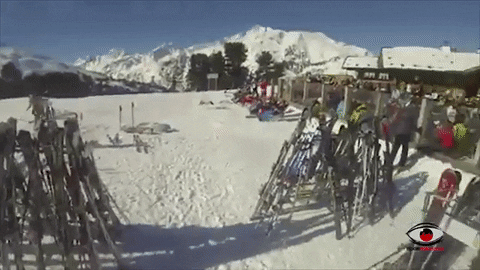 Skiing Gif