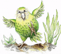 Kakapo Bird Gif