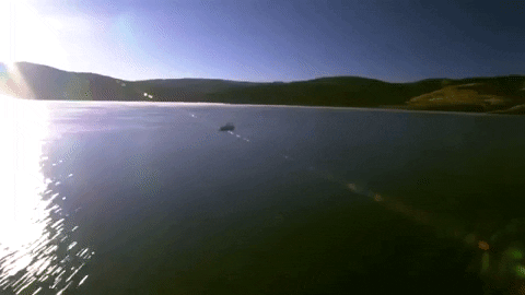 Engel & Völkers Salt Lake GIFs on GIPHY - Be Animated