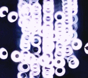 Transcription-service GIFs - Get the best GIF on GIPHY