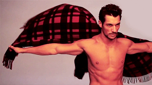 lcr | Tag | PrimoGIF