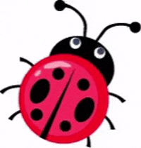 Lovebug GIF - Find & Share on GIPHY