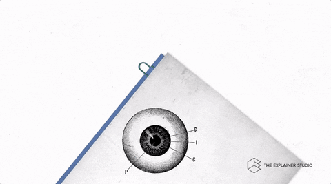 Animation Touch GIF by The Explainer Studio - Find & Share on GIPHY