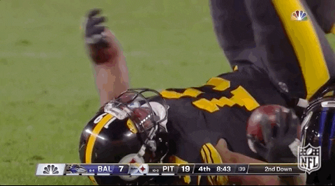 7 Best GIFs from the Steelers-Ravens Game! by Sports GIFs | GIPHY