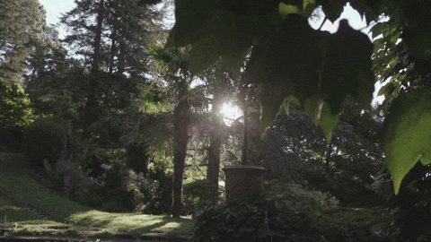 Great Gardens GIFs - Get the best GIF on GIPHY
