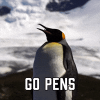 Pen-pen GIFs - Get the best GIF on GIPHY