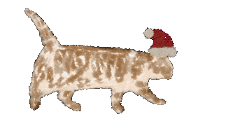 Illustrator.aki GIFs on GIPHY - Be Animated