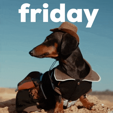Happy Friday Dog Gif