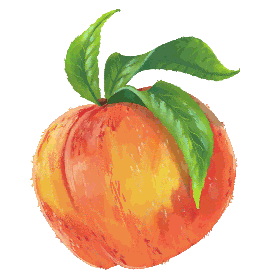 Fresh From Florida GIFs on GIPHY - Be Animated