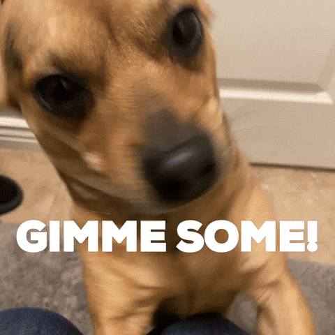 Gimme Some GIFs - Find & Share on GIPHY