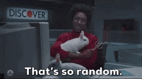 Most Random Gif On The Internet