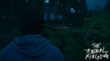 The Animal Kingdom GIFs on GIPHY - Be Animated