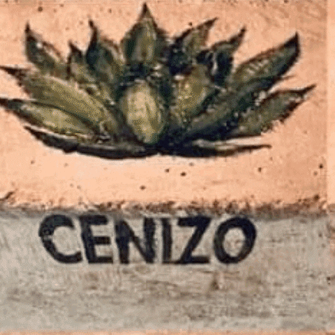 Mezcal Ictuz GIFs on GIPHY - Be Animated