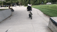 Handlebars GIFs - Get the best GIF on GIPHY