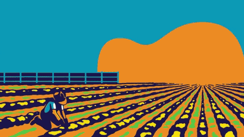 Farm Aid Artists GIFs on GIPHY - Be Animated