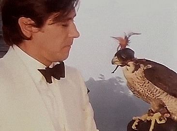Falcons-reactions GIFs - Get the best GIF on GIPHY
