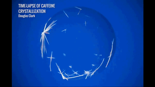 Chemistry Reactions GIFs - Get the best GIF on GIPHY