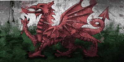 Welsh Dragon GIFs - Find & Share on GIPHY