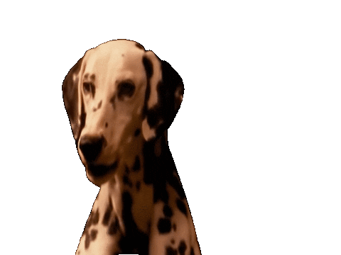 Sublime GIFs on GIPHY - Be Animated