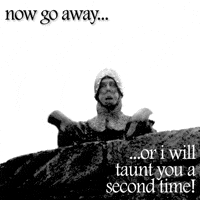 Monty Python And The Holy Grail Camelot Gif