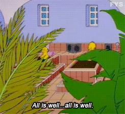 Cheltenham-spa GIFs - Get the best GIF on GIPHY