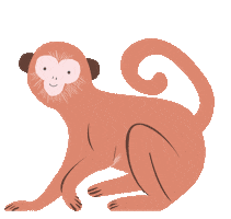 Animal Parade GIFs on GIPHY - Be Animated
