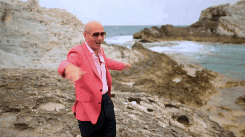Happy Pitbull GIFs - Get the best GIF on GIPHY