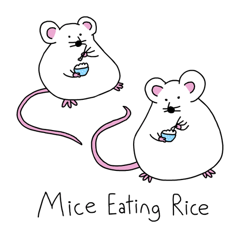 Eating-rice GIFs - Get the best GIF on GIPHY