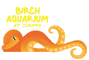 Sea Creatures GIFs on GIPHY - Be Animated