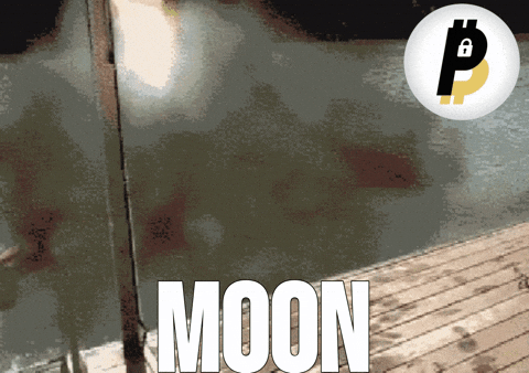 Moon Meme GIFs - Get the best GIF on GIPHY
