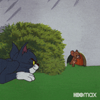 Tom And Jerry Running Gif