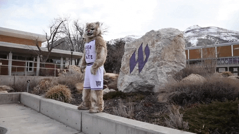 Weber State Jump GIF - Find & Share on GIPHY