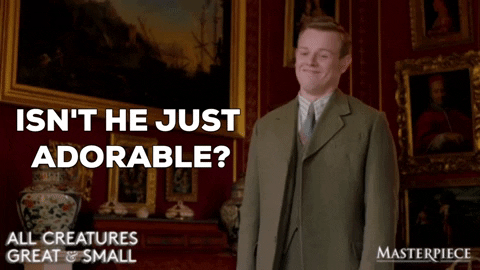 This Was Too Adorbs GIFs - Get the best GIF on GIPHY