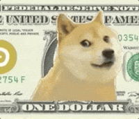 Doge Gif