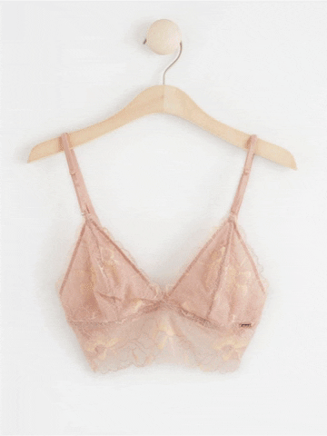 Lace-bralette GIFs - Get the best GIF on GIPHY