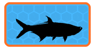 Vision Fly Fishing GIFs on GIPHY - Be Animated