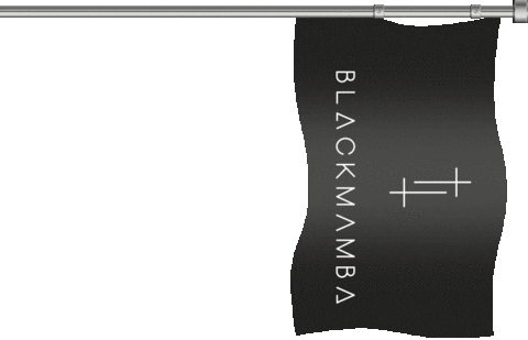 Black Mamba GIFs on GIPHY - Be Animated