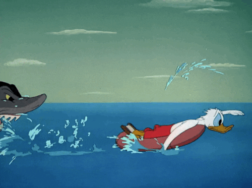 1000+ images about Donald Duck GIF. on Pinterest | Diaries, Donald duck ...