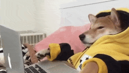 Dog Computer Gif