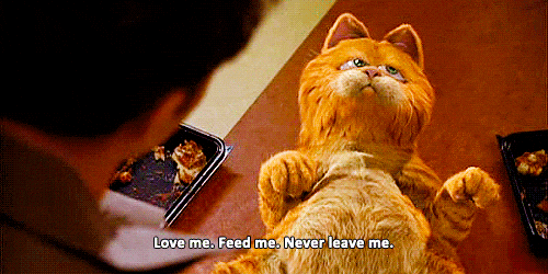 Garfield Ravioli GIFs - Get the best GIF on GIPHY