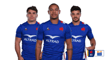 XV de France masculin GIFs on GIPHY - Be Animated