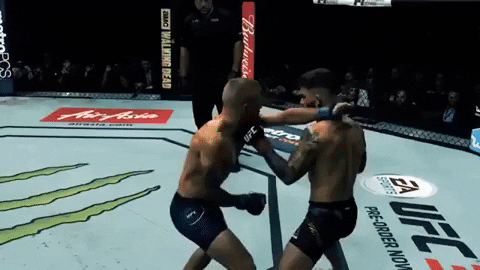 Punch Woof GIFs - Get the best GIF on GIPHY