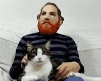 Dtr Evil Petting Cats