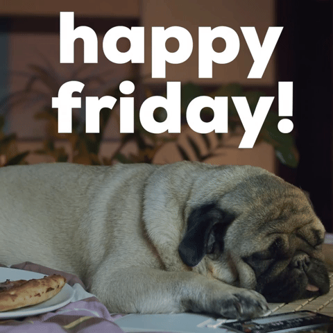 Its Friday Dog GIF by GIPHY Studios Originals - Find & Share on GIPHY