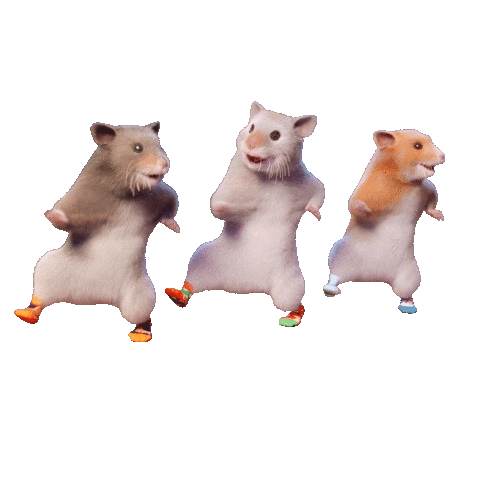Hamster Dance Gif