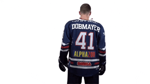 Hockey Hoki GIF by Fehervar AV19 - Find & Share on GIPHY